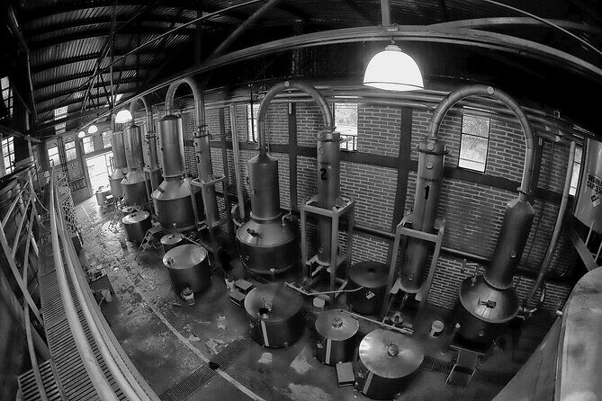 Sip & Savor Tequila Experience Distillery w/ Lunch fr Guadalajara - Final Thoughts