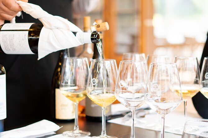Sipping History: Discover Ancient Roman Wines - An In-Depth Look at the Experience