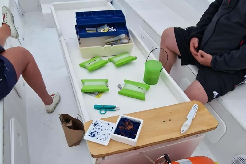 Siracusa: Ortigia +sea caves +fishing experience - Sea Caves Exploration — A Magical Experience