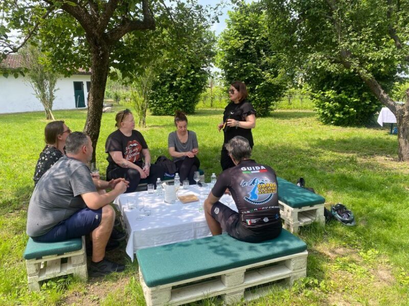 Sirmione: Vineyard Tour with Lugana Wines and Local Tastings - The Setting and Accessibility