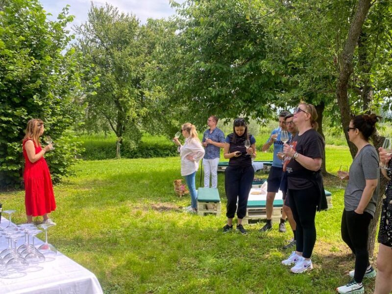 Sirmione: Vineyard Tour with Lugana Wines and Local Tastings - The Sum Up