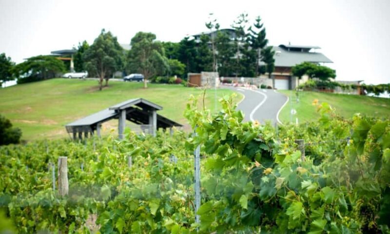 Sirromet Winery A Petit Pairing - An In-Depth Look at the Sirromet Winery A Petit Pairing