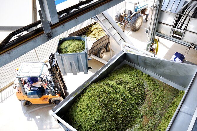 Sirromet Winery Tour and Taste and 2 Course Lunch - Who Will Love This Tour?