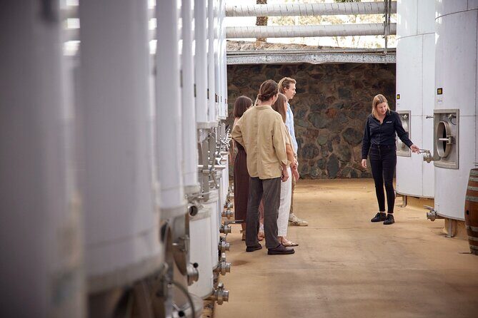 Sirromet Winery Tour and Wine Tasting - Key Points