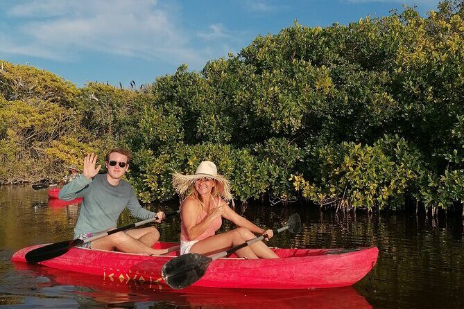 Sisal kayak through Mangroves & Bird watching from Merida - Key Points