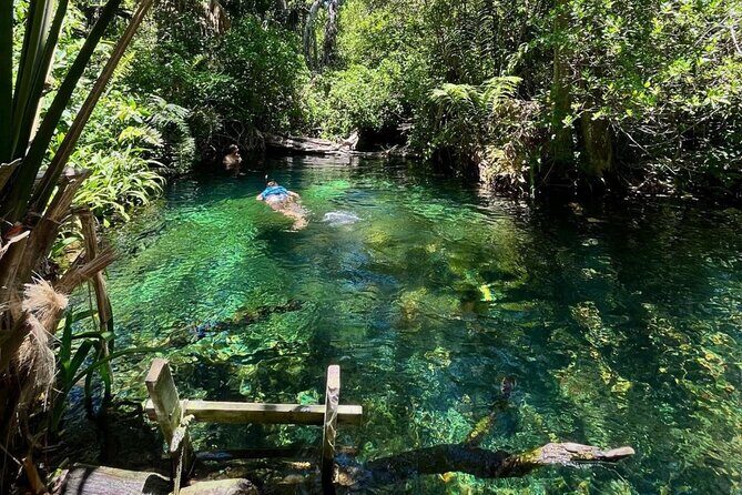 Sisal Mangrove and Beach Kayak Tour From Merida - Key Points