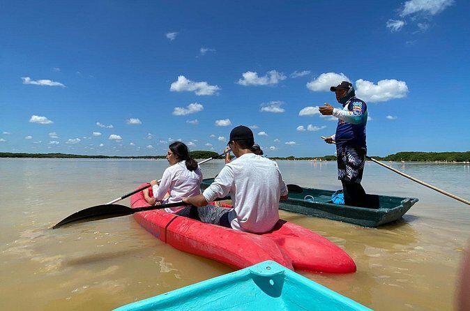 Sisal Mangrove and Beach Kayak Tour From Merida - Who Is This Tour Best For?