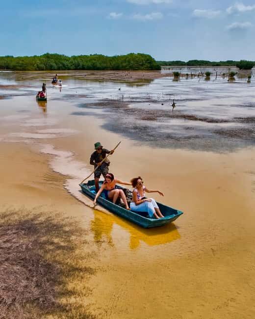 Sisal Yucatán: Flamingo Safari Tour Mangroves - The Itinerary in Detail