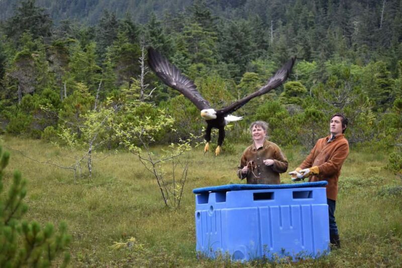 Sitka: Alaska Raptor Center Admission Ticket - Who Will Love This Experience?