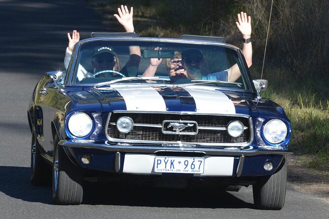 Six-Bridges-of-Sydney-Vintage-Car-Ride-Experience - The Sum Up
