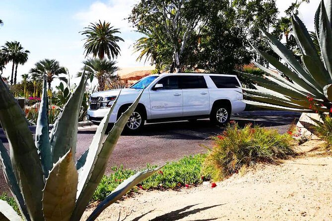 SJD Airport to San Jose del Cabo - one way service - A Practical, Comfortable Start: SJD Airport to San Jose del Cabo Private Transfer