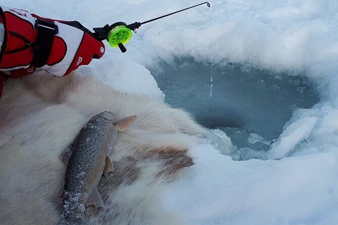 Sjursnes Arctic Ice Fishing Adventure from Tromso - Key Points
