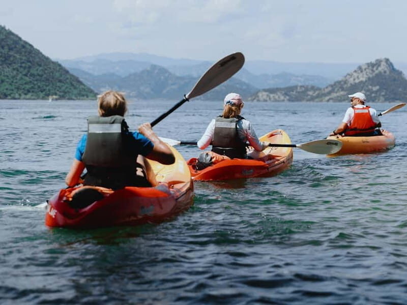 Skadar Lake: 4-Hour Guided tours on Kayak - An In-Depth Look at the Skadar Lake Kayak Tour