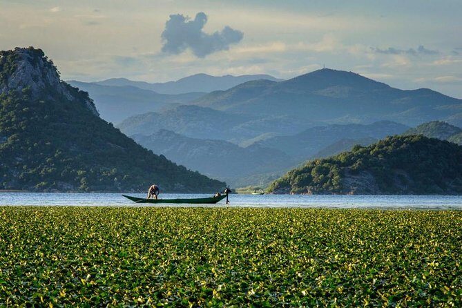 Skadar lake boat ride through "Montenegrin Amazon", wine tasting & Niagara falls - Experience the Best of Montenegro: Skadar Lake Boat Ride, Wine Tasting & Niagara Falls