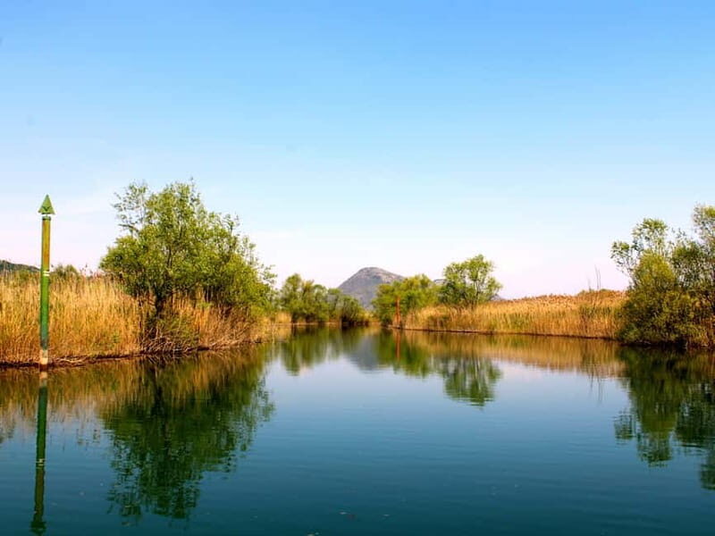 Skadar Lake & Crnojevia River: Swimming, Snacks & Wine - Key Points