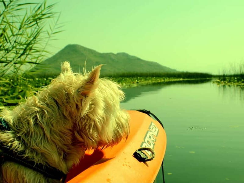 Skadar Lake National Park: Eco-friendly Kayak Adventure - Key Points