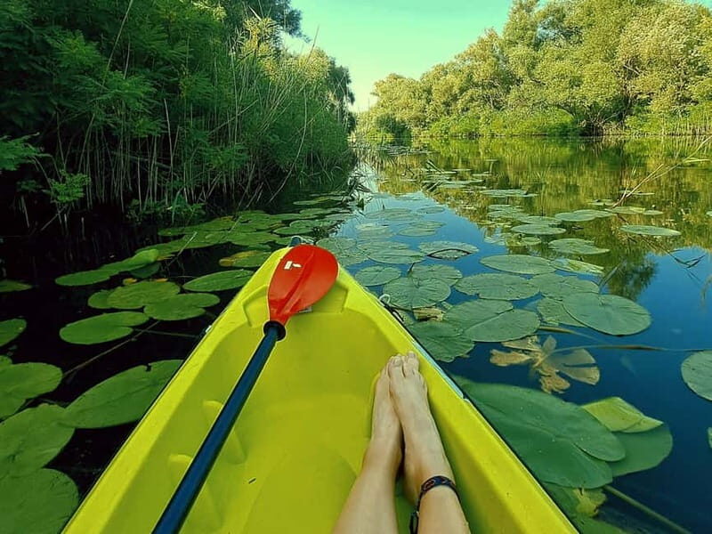 Skadar Lake National Park: Eco-friendly Kayak Adventure - Exploring Lake Skadar: What to Expect