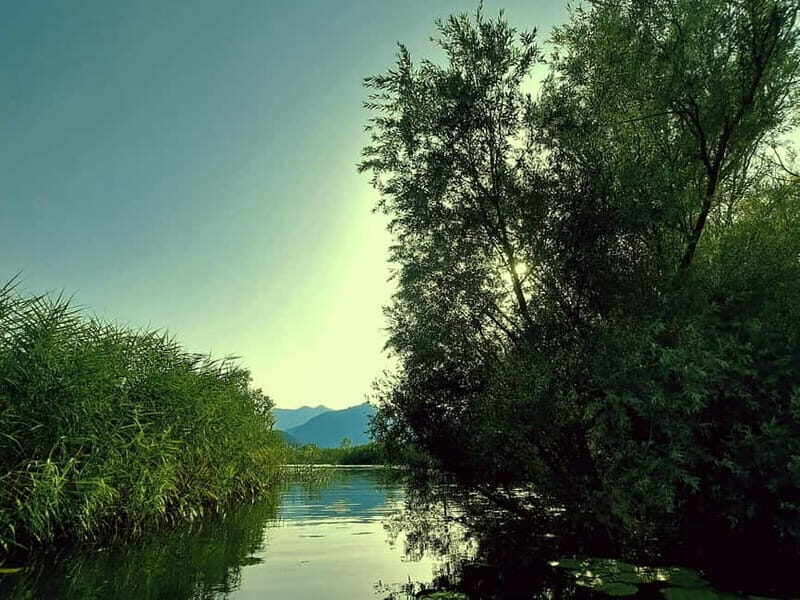 Skadar Lake National Park: Eco-friendly Kayak Adventure - Who Should Book This Tour?