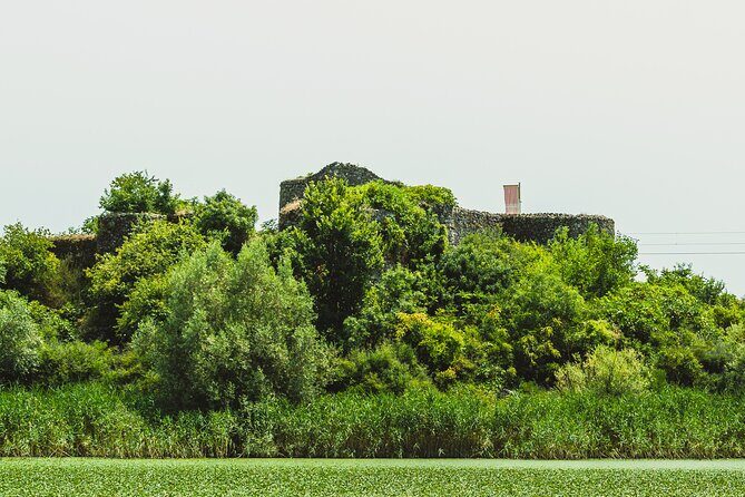 Skadar Lake National Park Guided Boat Tour with Wooden Boat - Who Is This Tour Best For?