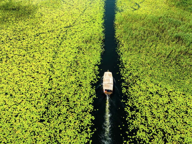 Skadar Lake National Park: Guided Boat Tour with Wooden Boat - Key Points