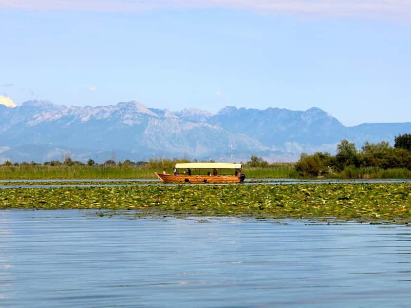 Skadar Lake National Park: Guided Boat Tour with Wooden Boat - An In-Depth Look at the Lake Skadar Guided Boat Tour