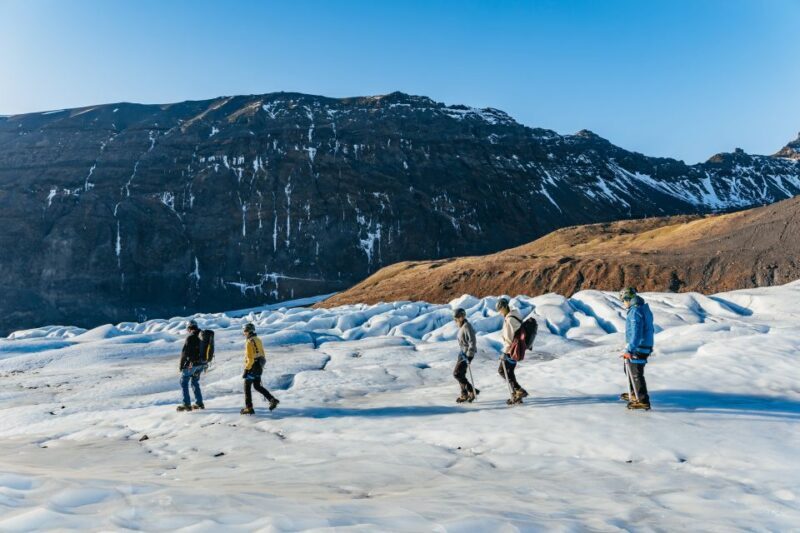 Skaftafell: Falljokull Glacier Easy Group Hike - What to Expect on This Ice Adventure
