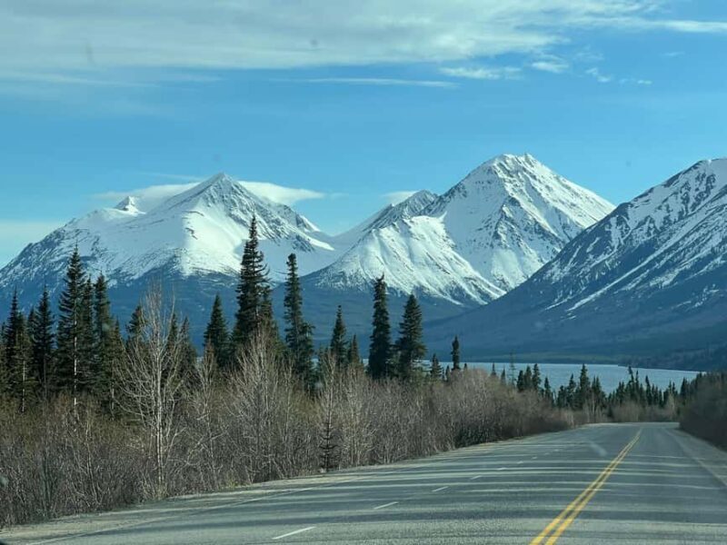 Skagway: Yukon Discovery Tour - Exploring the Itinerary in Detail