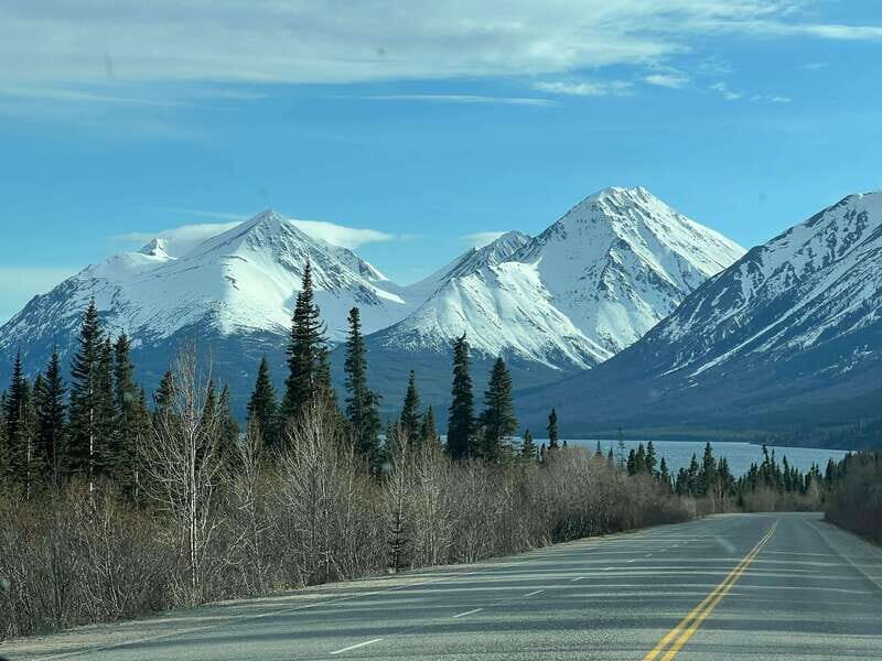 Skagway: Yukon Dog Mushing & Sightseeing Tour - Authenticity and Overall Experience
