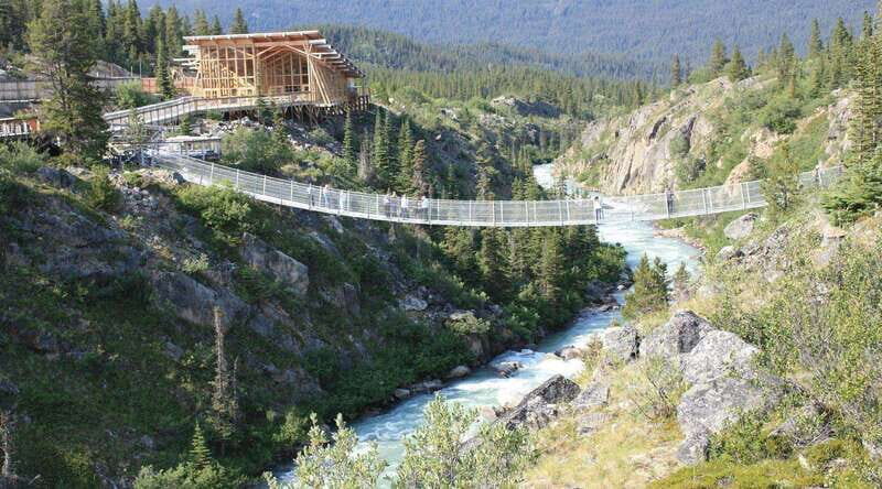 Skagway: Yukon Suspension Bridge & Summit Tour - Final Thoughts
