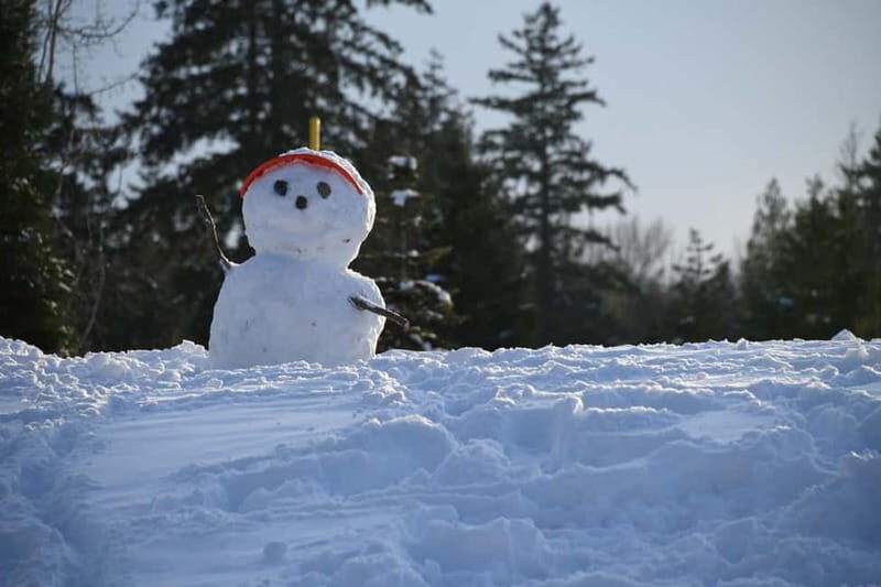 Ski & Snow Tour to Bakuriani from Kutaisi with Borjomi Stop - FAQ