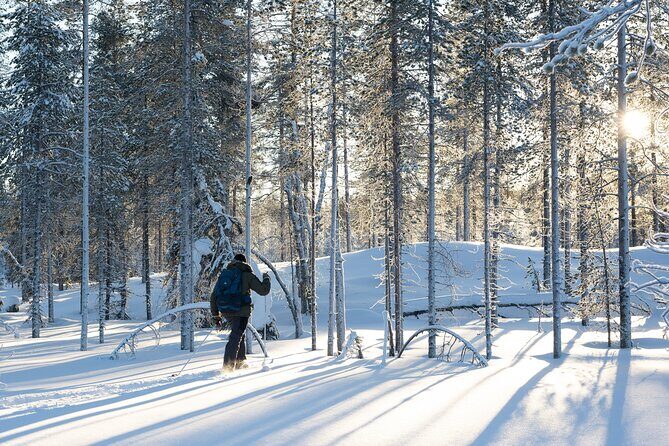 Ski Trek to the Wilderness - Extra Small group - Exploring the Itinerary: A Day in the Wilderness