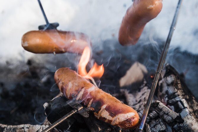 Ski Trekking Safari in Lapland - Exploring the Arctic with Confidence: An In-Depth Look