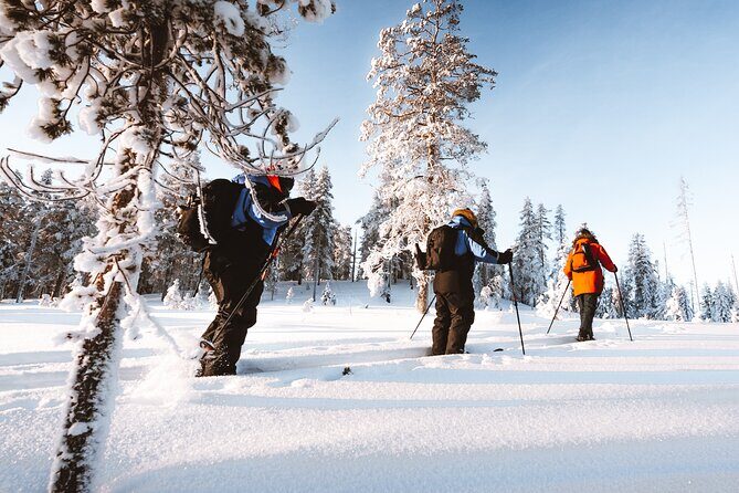 Ski Trekking Safari in Lapland - Who Is This Tour Best For?