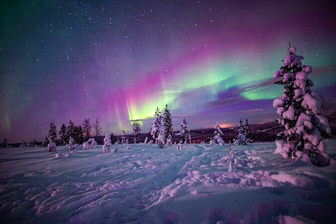 Ski Trekking under the Northern Lights - Key Points