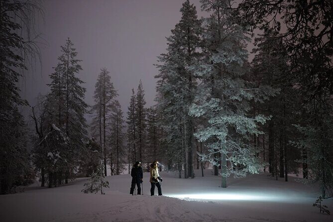 Ski Trekking under the Northern Lights - Practical Considerations and Tips