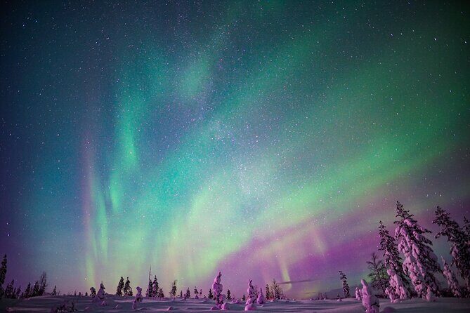 Ski Trekking under the Northern Lights - Final Thoughts: Is This Tour for You?