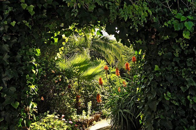 Skip the Line: Artlandya Admission Ticket in Tenerife - Key Points