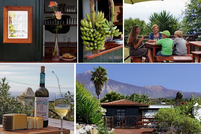 Skip the Line: Artlandya Admission Ticket in Tenerife - Practical Details & What to Expect