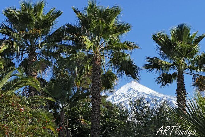 Skip the Line: Artlandya Admission Ticket in Tenerife - FAQ