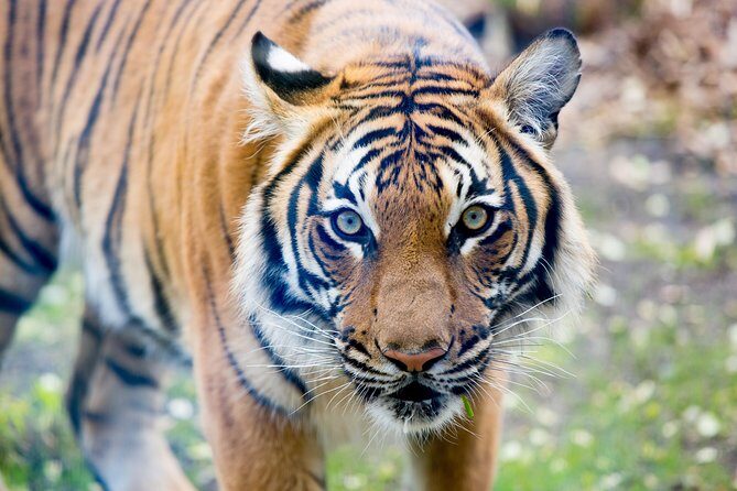 Skip the Line: Daily Admission at Woodland Park Zoo Ticket - Frequently Asked Questions