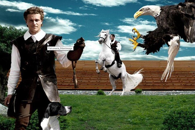 Skip the Line: Falconeria Locarno Ticket - What to Expect at Falconeria Locarno