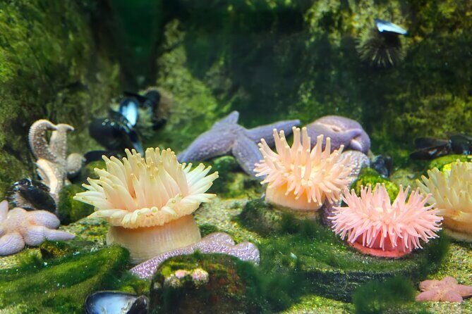 Skip-the-line Montreal Biodome Private Tour with Tickets - A Deep Dive into the Montreal Biodome Tour