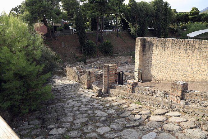 Skip the Line Pompeii Guided Tour from Naples - A Closer Look at the Tour Experience