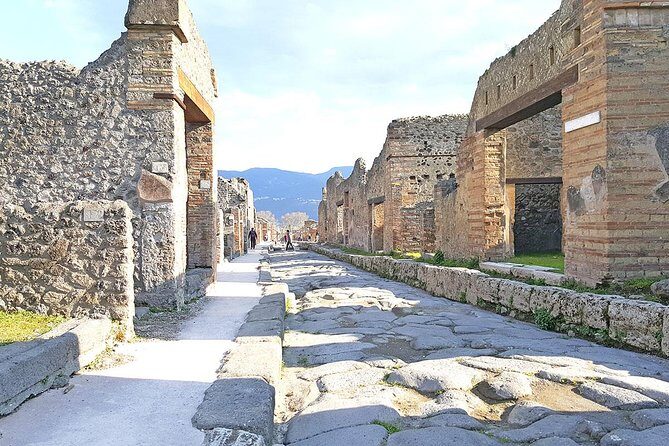 Skip-the-Line Pompeii & Volcano Vesuvius Day Tour w Hotel or Port Pickup - Final Thoughts: Who Is This Tour Perfect For?
