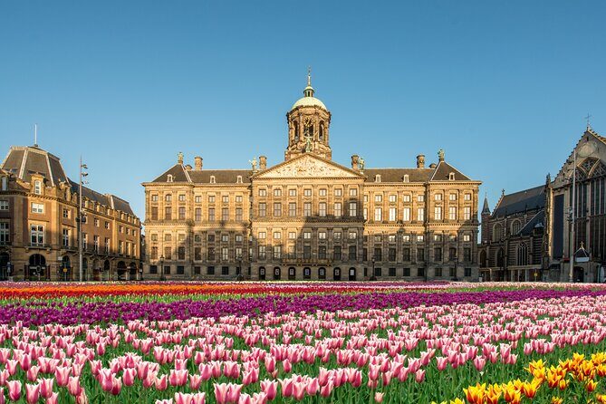 Skip-the-line Royal Palace of Amsterdam Private Guided Tour - Key Points