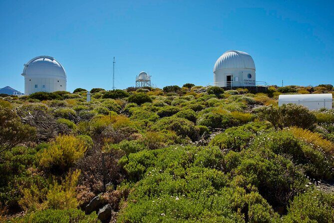 Skip the Line: Teide Observatory Entrance Ticket - What Can You Expect from the Tour?  