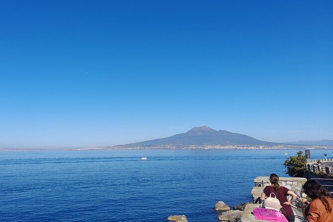Skip-The-Line Tickets VIP Small Group Tour To Pompei and Vesuvius - Who Should Book This?