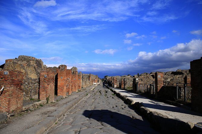 Skip the Line Tour of Pompeii for Kids & Families - Key Points