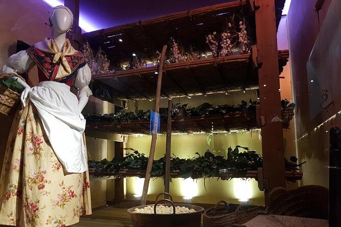 Skip the Line: Valencia Silk Museum Ticket Entrance - What to Expect from the Valencia Silk Museum Tour