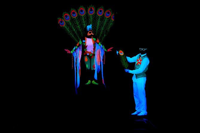 Skip the Line: WOW Show Black Light Theater in Prague Ticket - FAQ